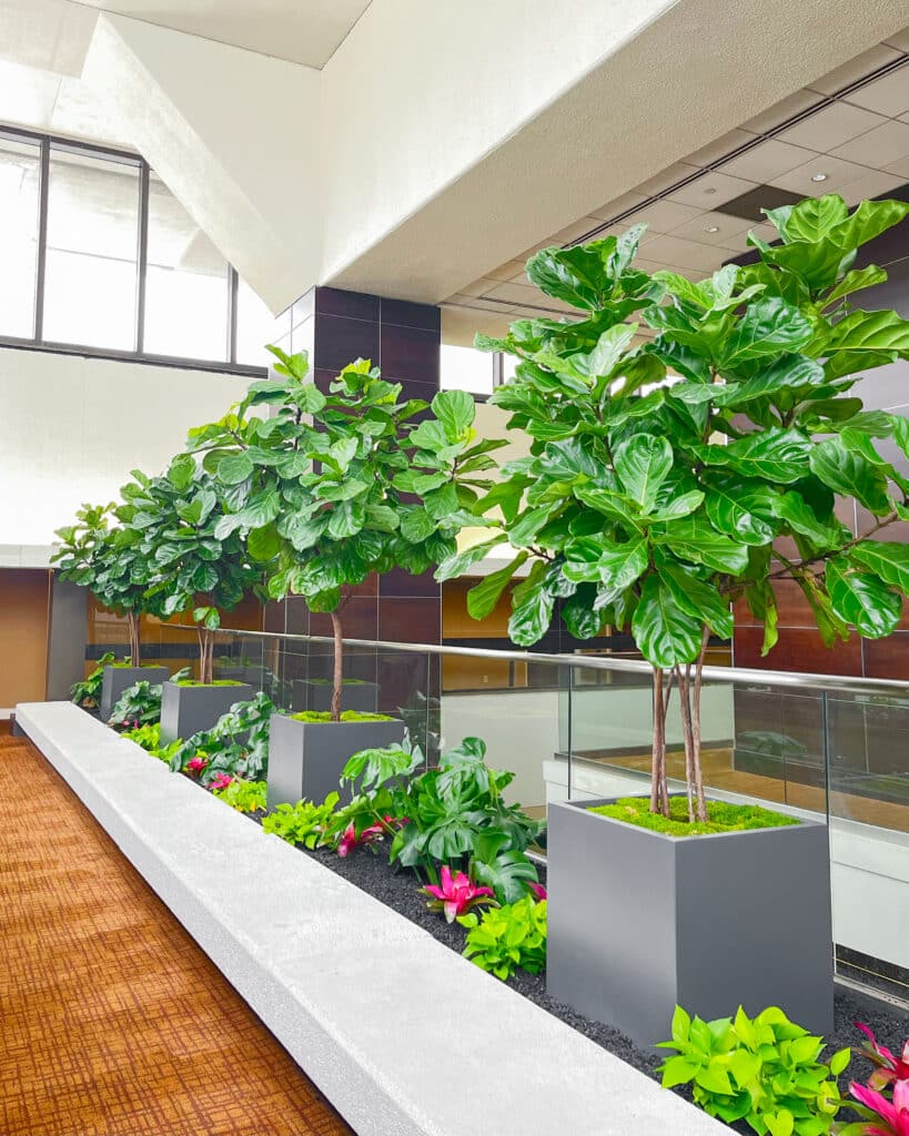 Live Vs. Faux - Growing Green Inc