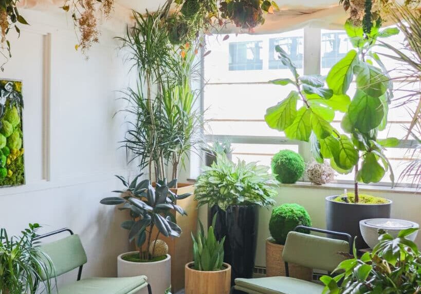 Immersion Rooms - Growing Green Inc